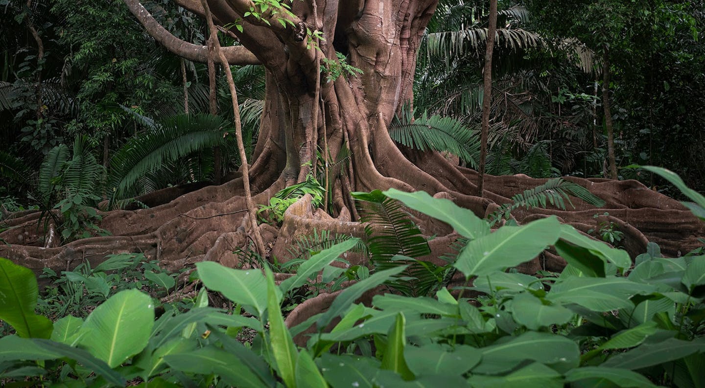 Welcoming Will Peterffy to One Earth’s Board of Directors | One Earth